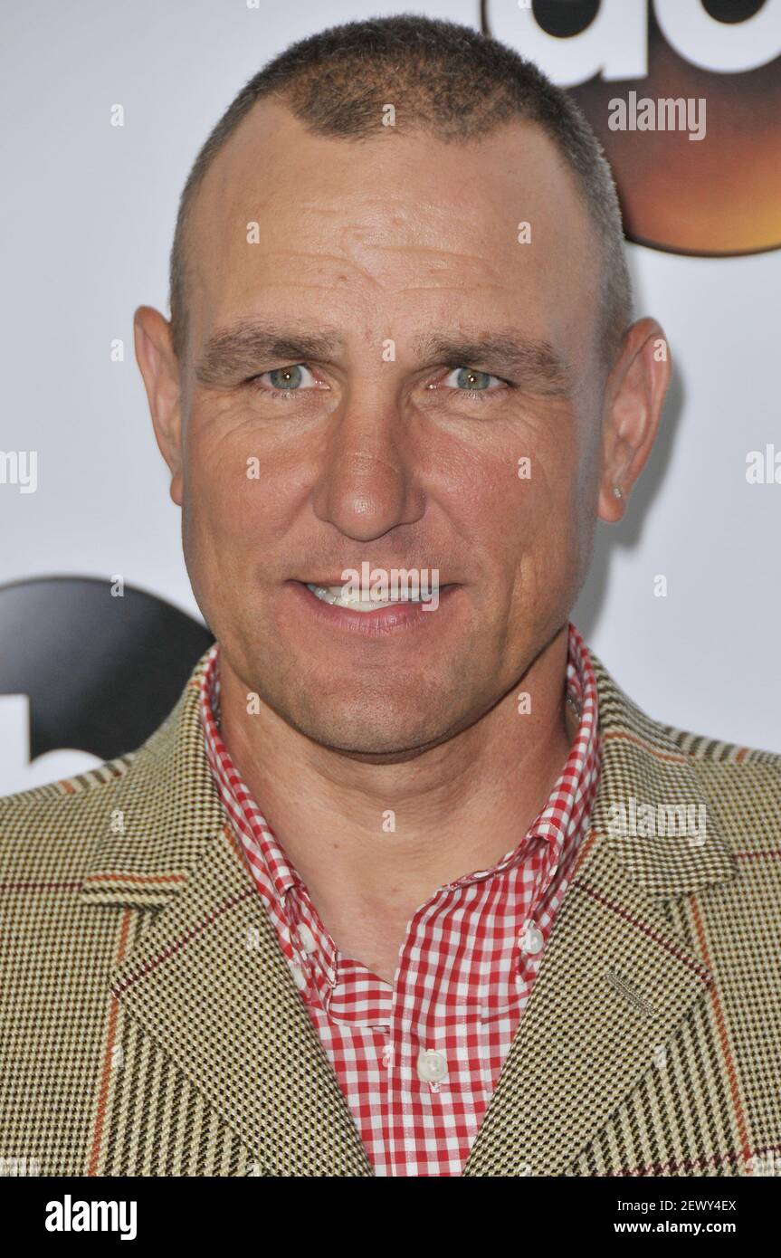Vinnie Jones at the Disney & ABC Television Group's 2015 TCA Winter ...