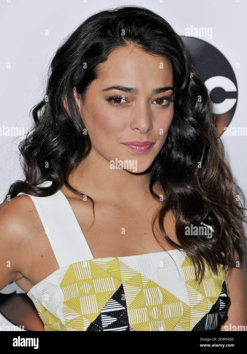 Natalie Martinez at the Disney & ABC Television Group's 2015 TCA Winter ...