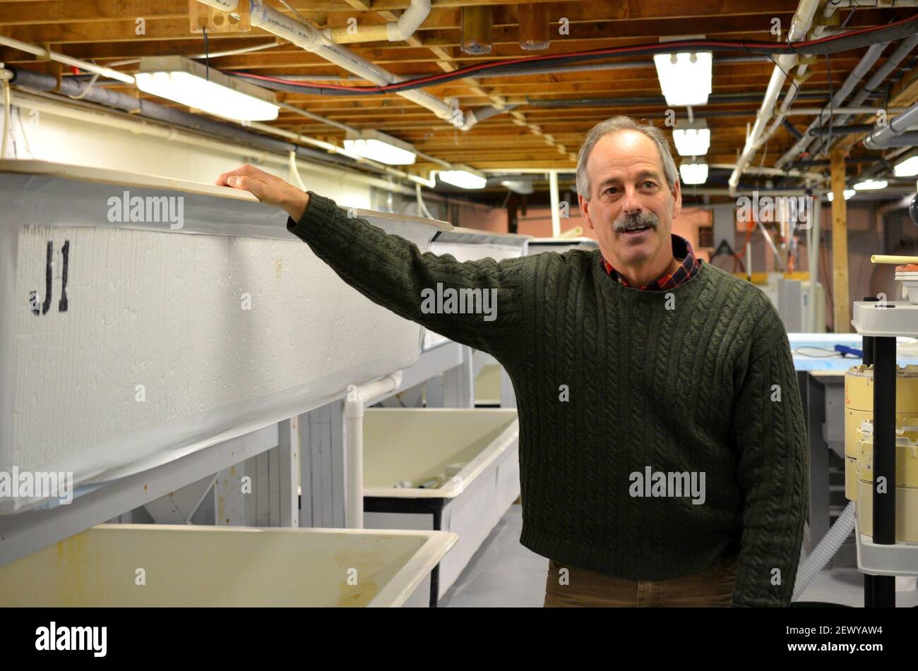 Ocean acidification hi-res stock photography and images - Alamy