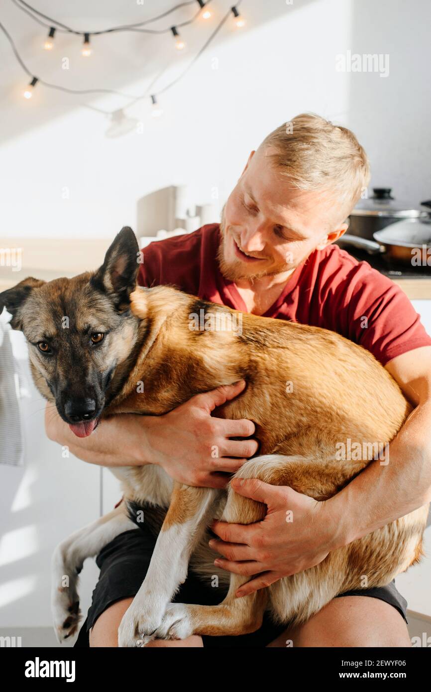 Large Breed Dogs High Resolution Stock Photography and Images - Alamy