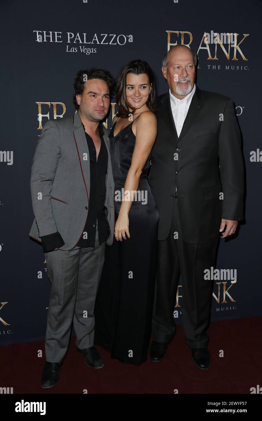 Johnny galecki and cote de pablo hi-res stock photography and images ...