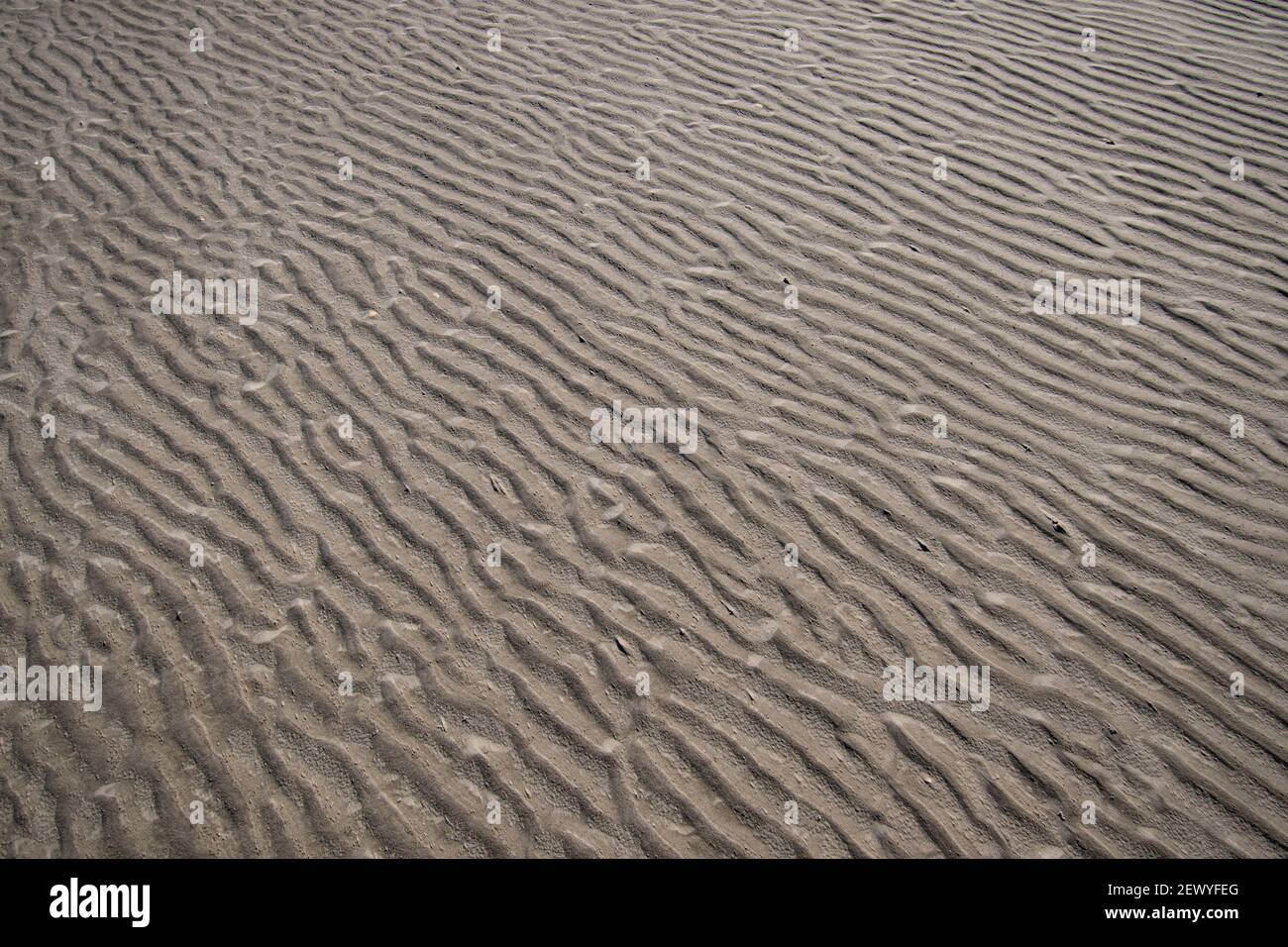 The sand dunes texture in a desert Stock Photo - Alamy