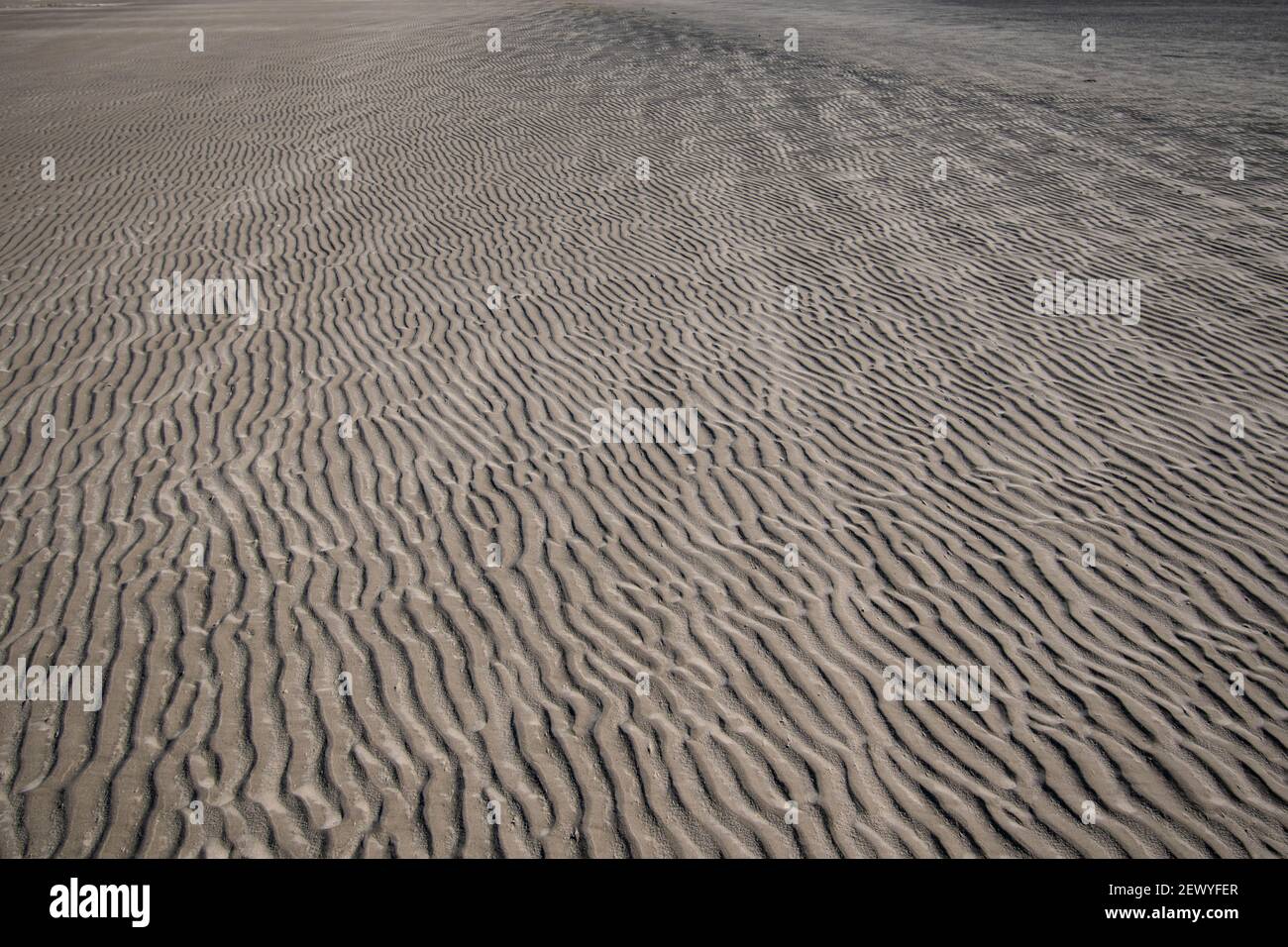 The sand dunes texture in a desert Stock Photo - Alamy