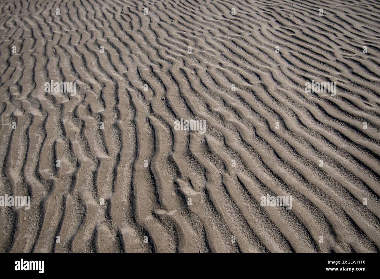 The sand dunes texture in a desert Stock Photo - Alamy