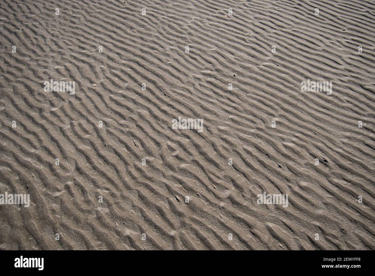 The sand dunes texture in a desert Stock Photo - Alamy