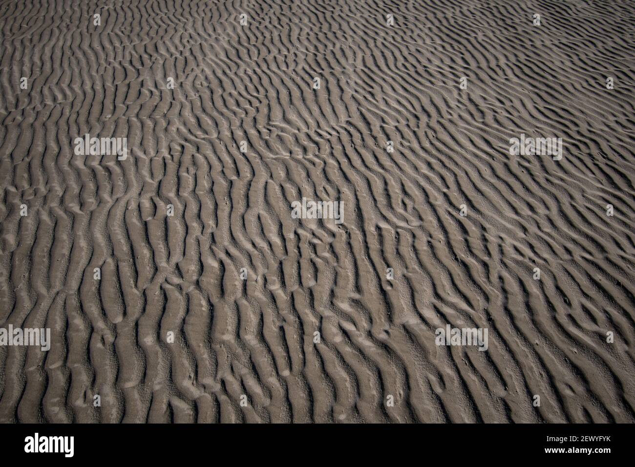 The sand dunes texture in a desert Stock Photo - Alamy