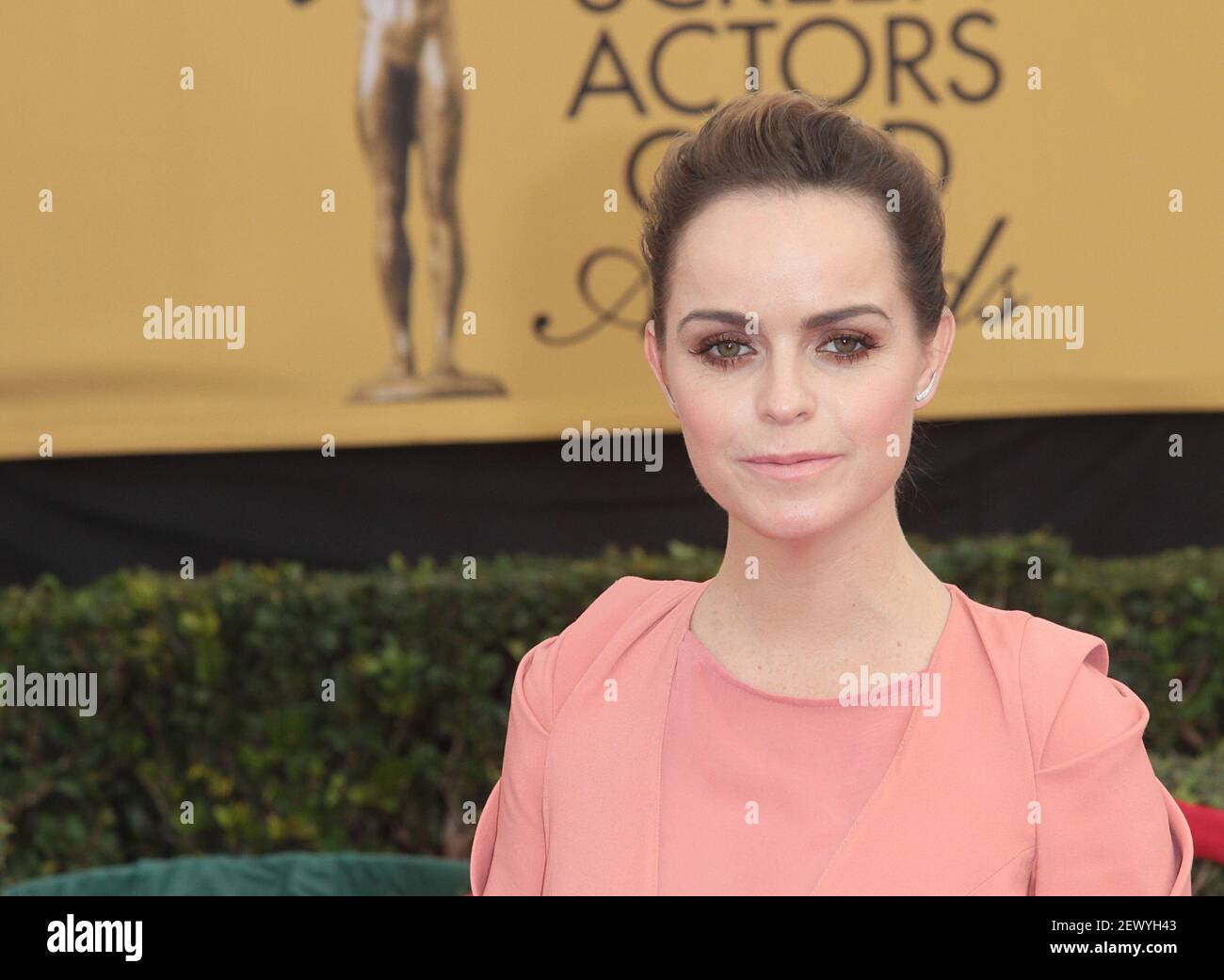 Taryn Manning attends The 2015 Screen Actors Guild Awards held at ...