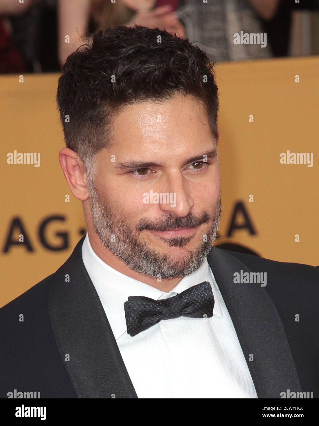 Joe Manganiello attends The 2015 Screen Actors Guild Awards held at ...