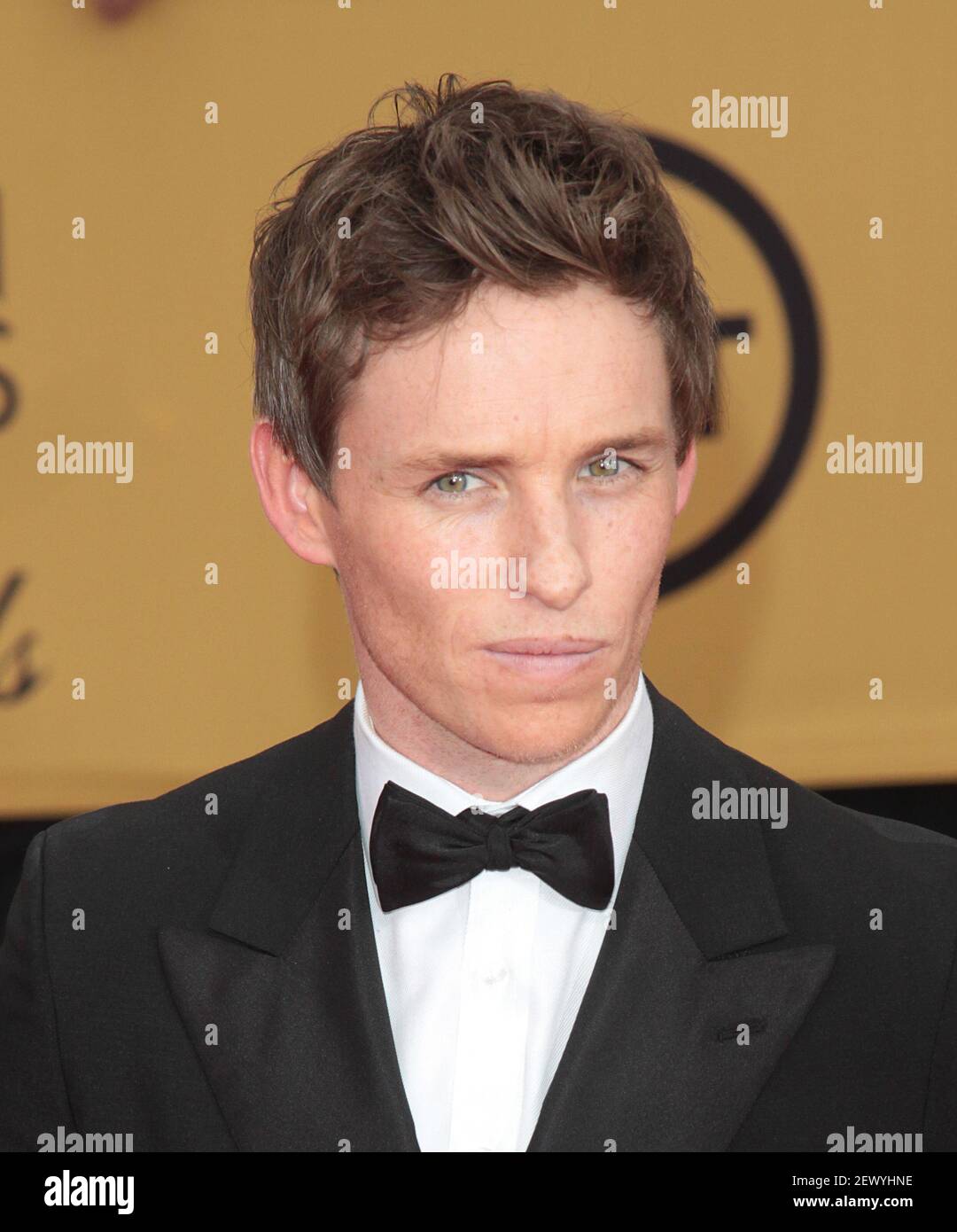 Eddie Redmayne attends The 2015 Screen Actors Guild Awards held at ...