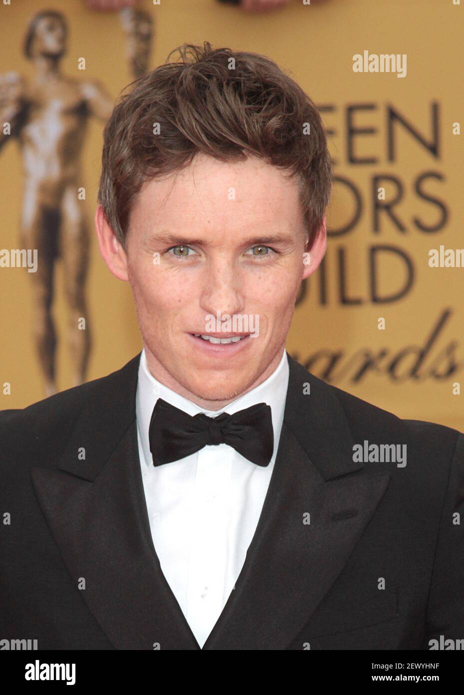 Eddie Redmayne attends The 2015 Screen Actors Guild Awards held at ...