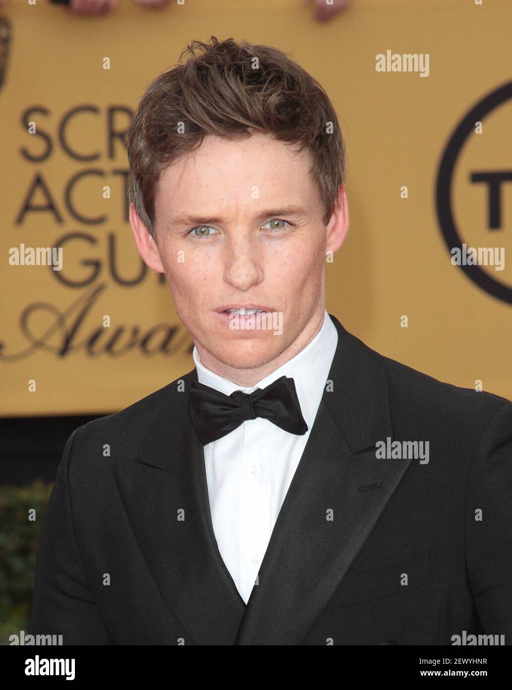 Eddie Redmayne attends The 2015 Screen Actors Guild Awards held at ...