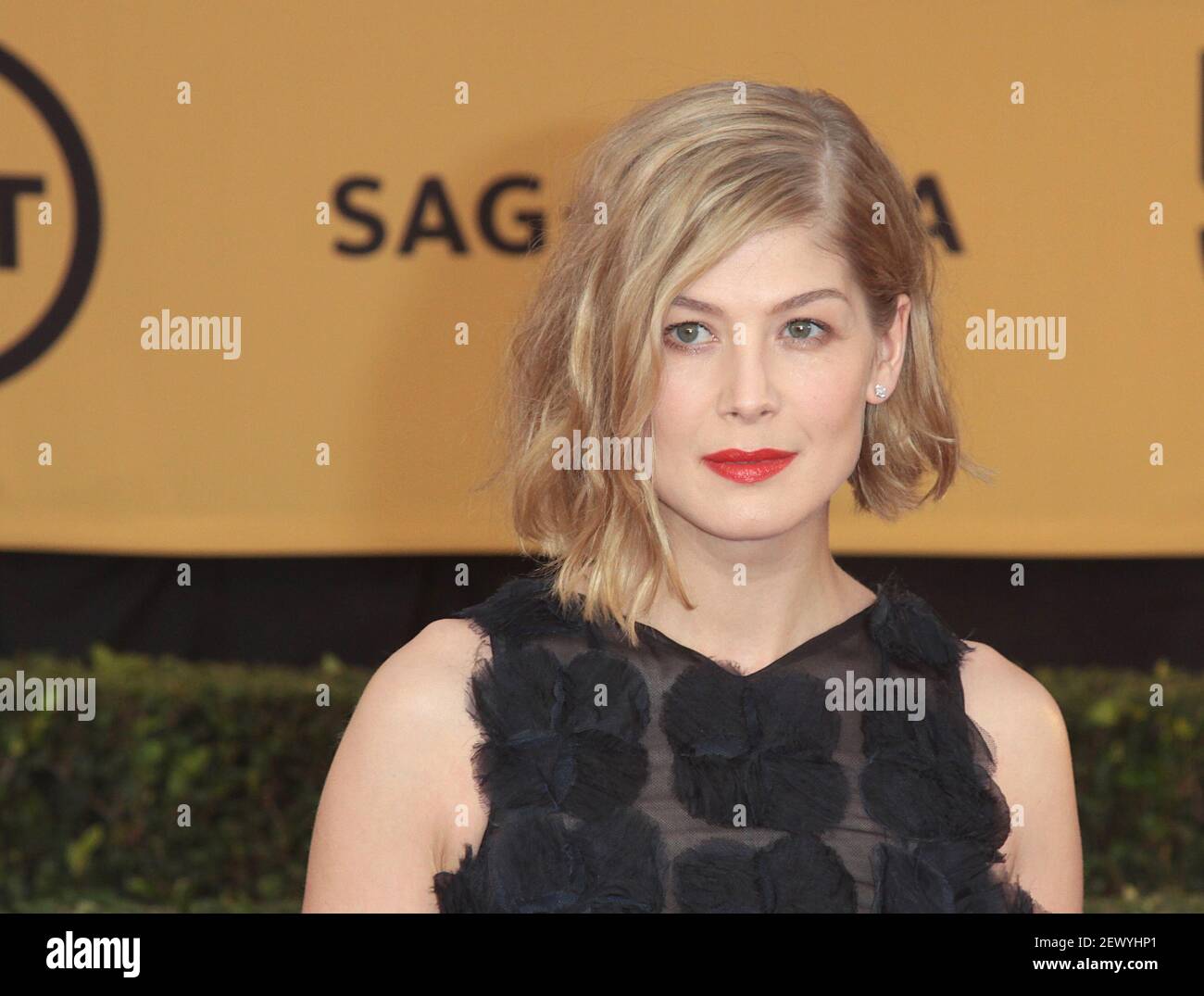 Rosamund Pike attends The 2015 Screen Actors Guild Awards held at ...
