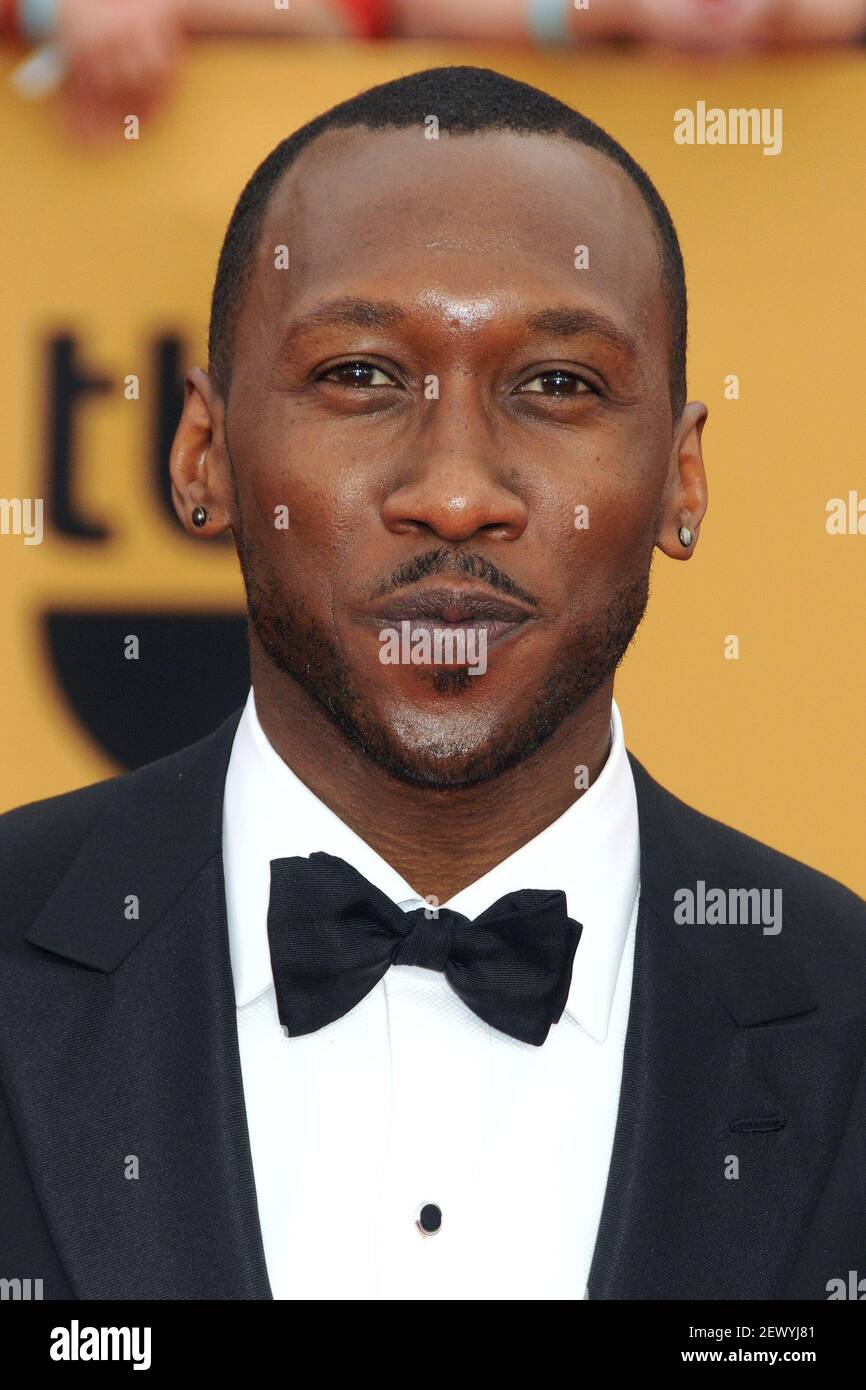 25 January 2015 - Los Angeles, California - Mahershala Ali. 21st Annual ...
