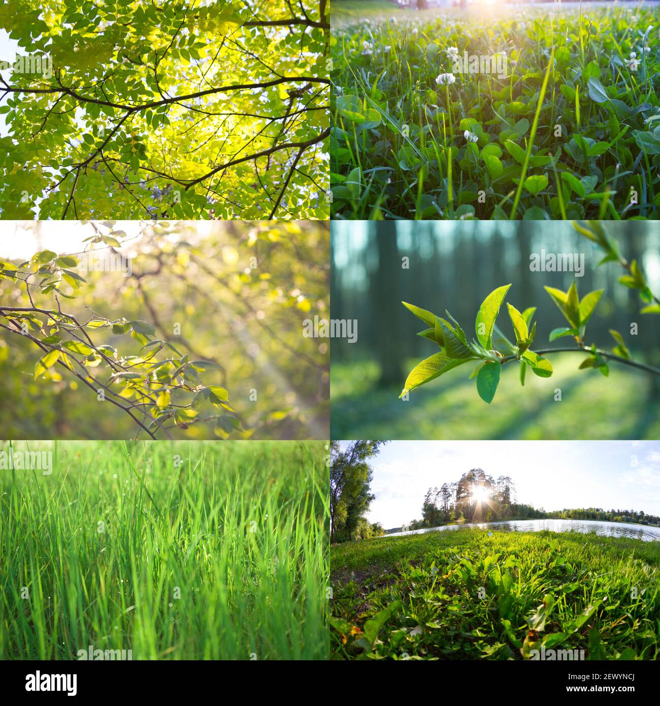 Collection of eco images with nature Stock Photo - Alamy