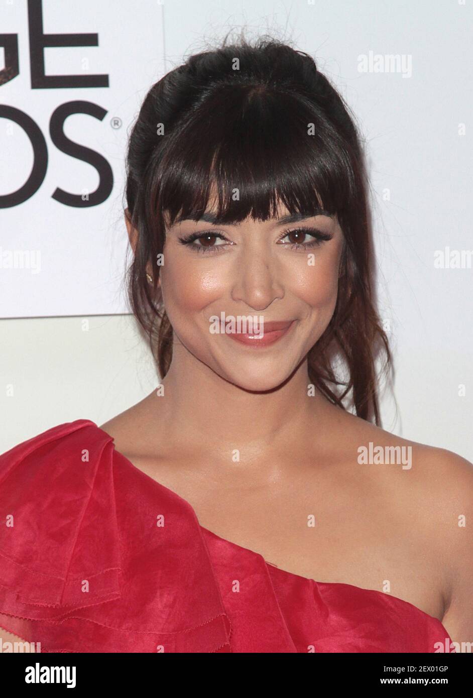 Hanna Simone attends The 46th Annual NAACP Image Awards held at the ...