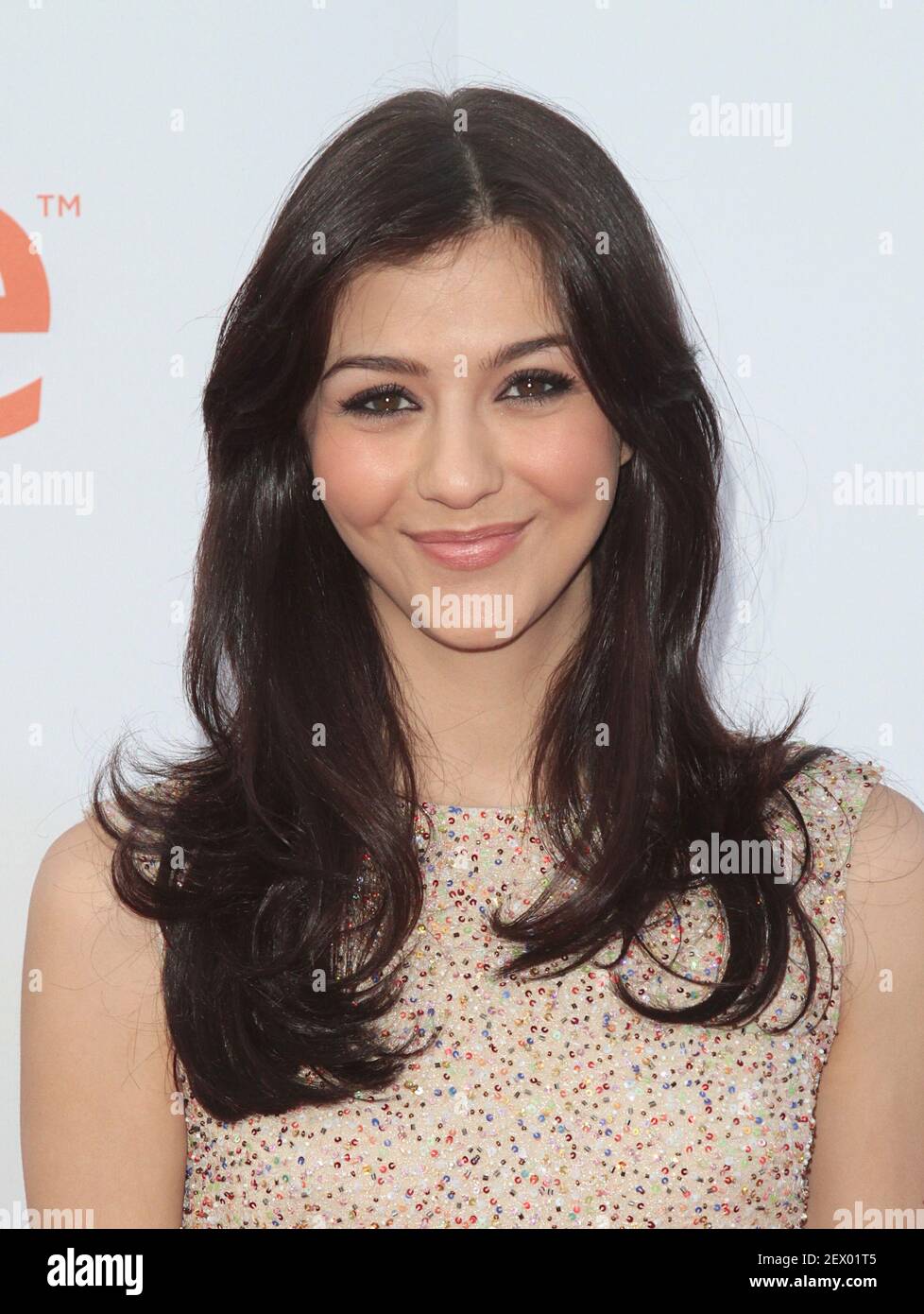 Katie Findlay attends The 46th Annual NAACP Image Awards held at the ...