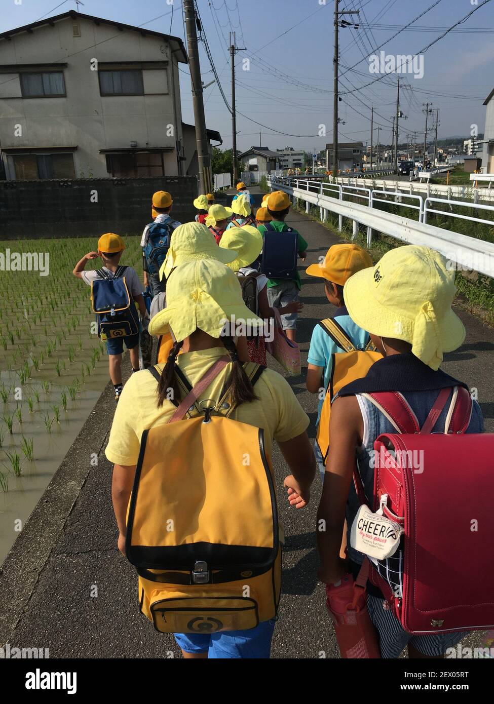 The Walking School Bus Stock Photo - Alamy