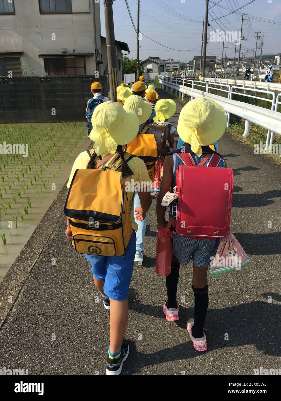 The Walking School Bus Stock Photo - Alamy