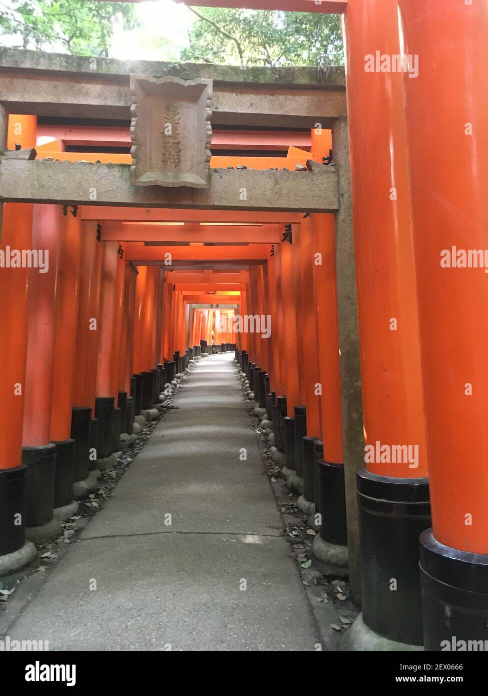 Views of Fushimi Inari Jinja Shrine Stock Photo - Alamy