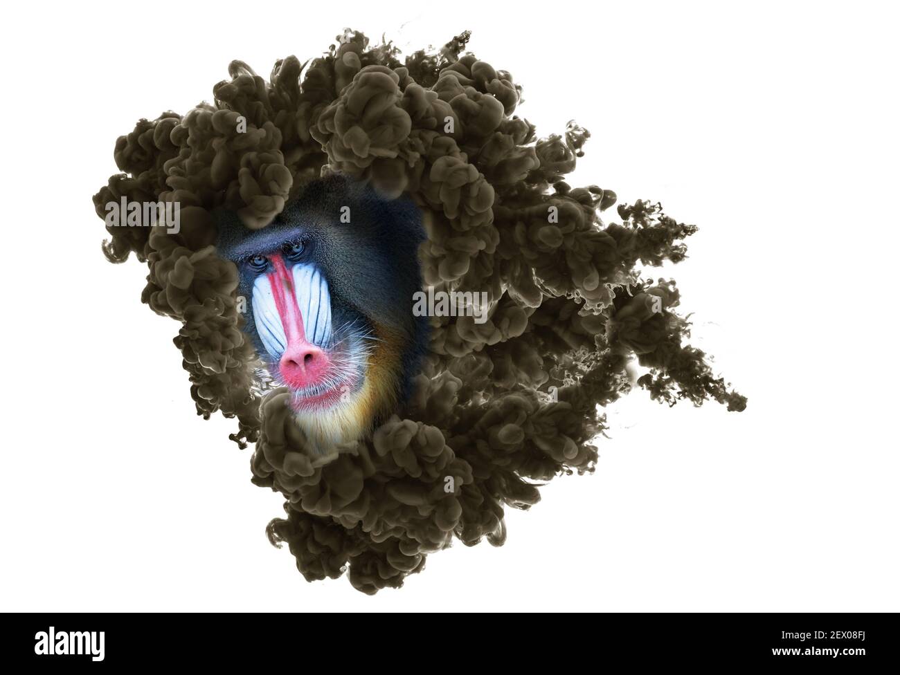 Smoke in face Cut Out Stock Images & Pictures - Alamy