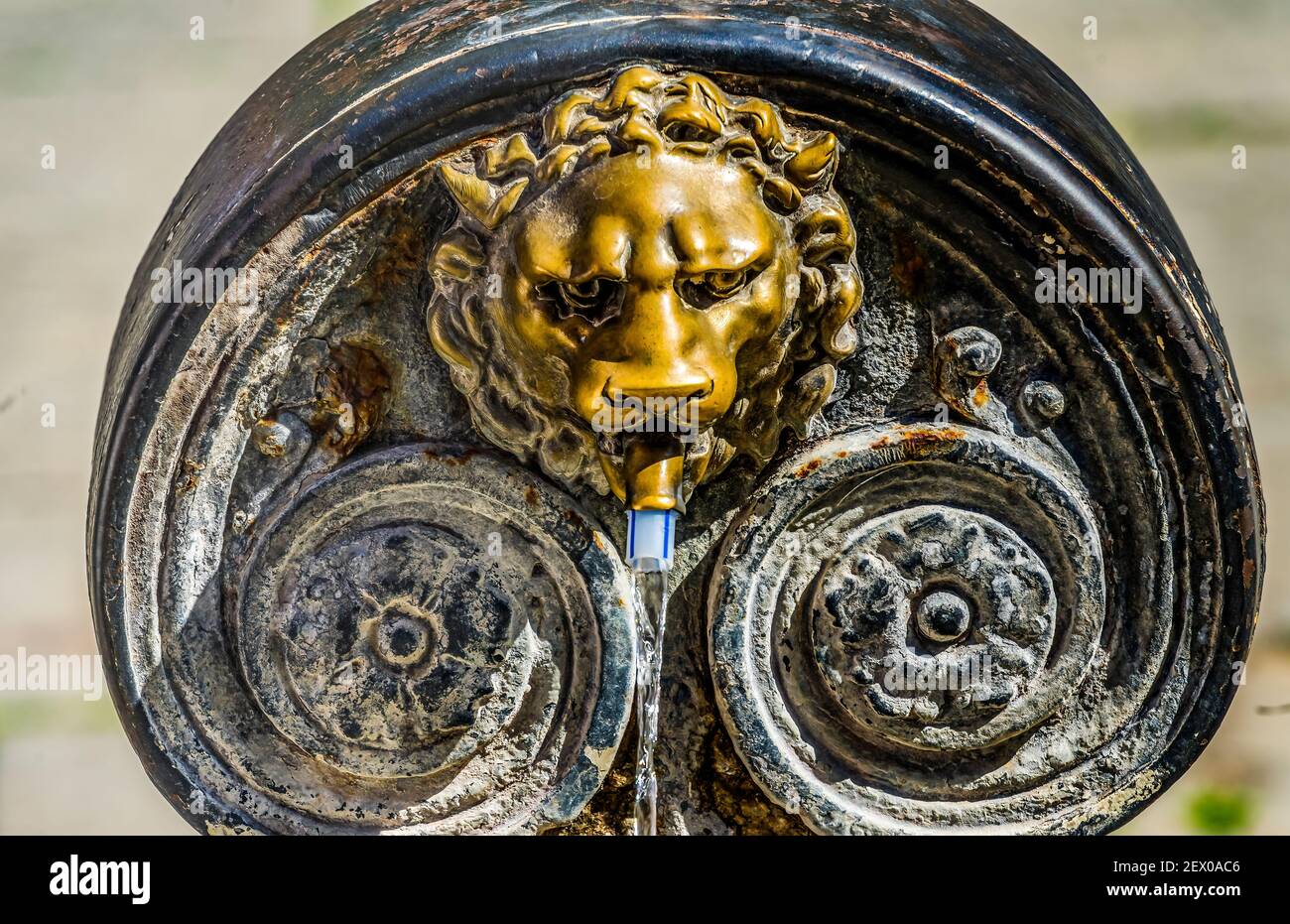 Venice Saint Mark's Lion Fountain Water Venice Italy Stock Photo - Alamy