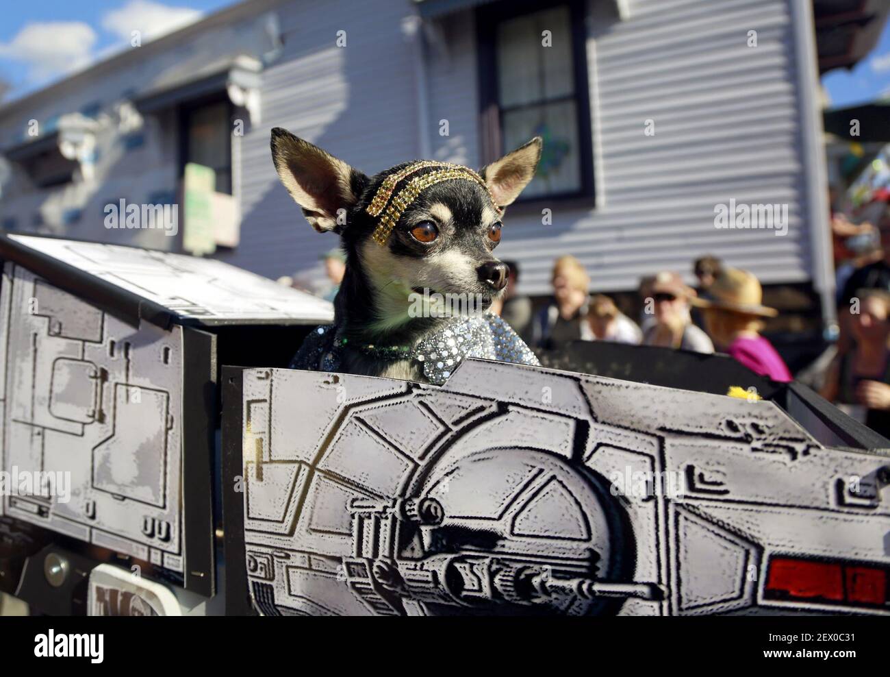 08 Feb 2015. New Orleans, Louisiana. Mardi Gras. The Mystic Krewe of ...