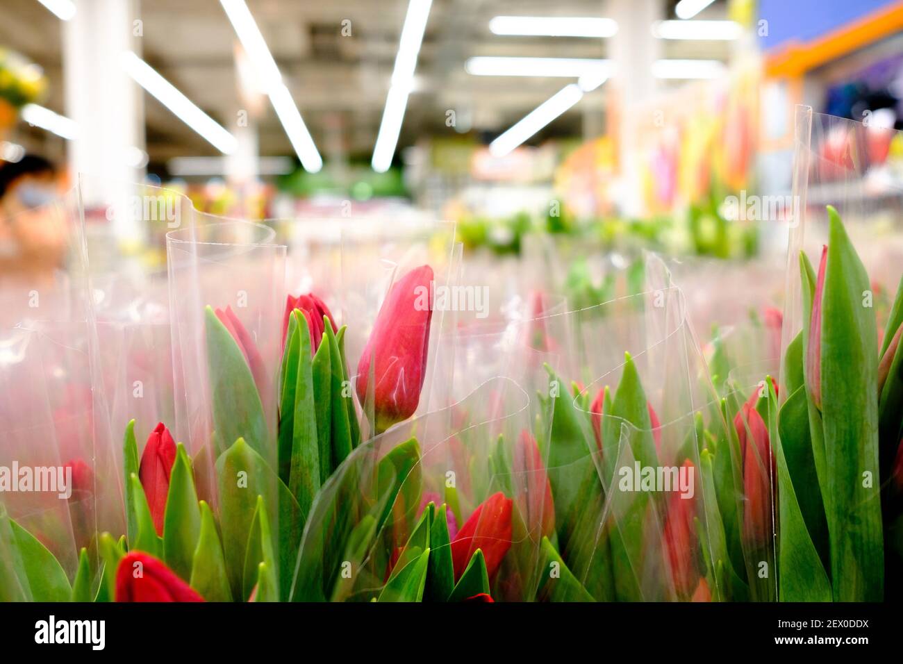 Cellophane Wrap High Resolution Stock Photography and Images - Alamy