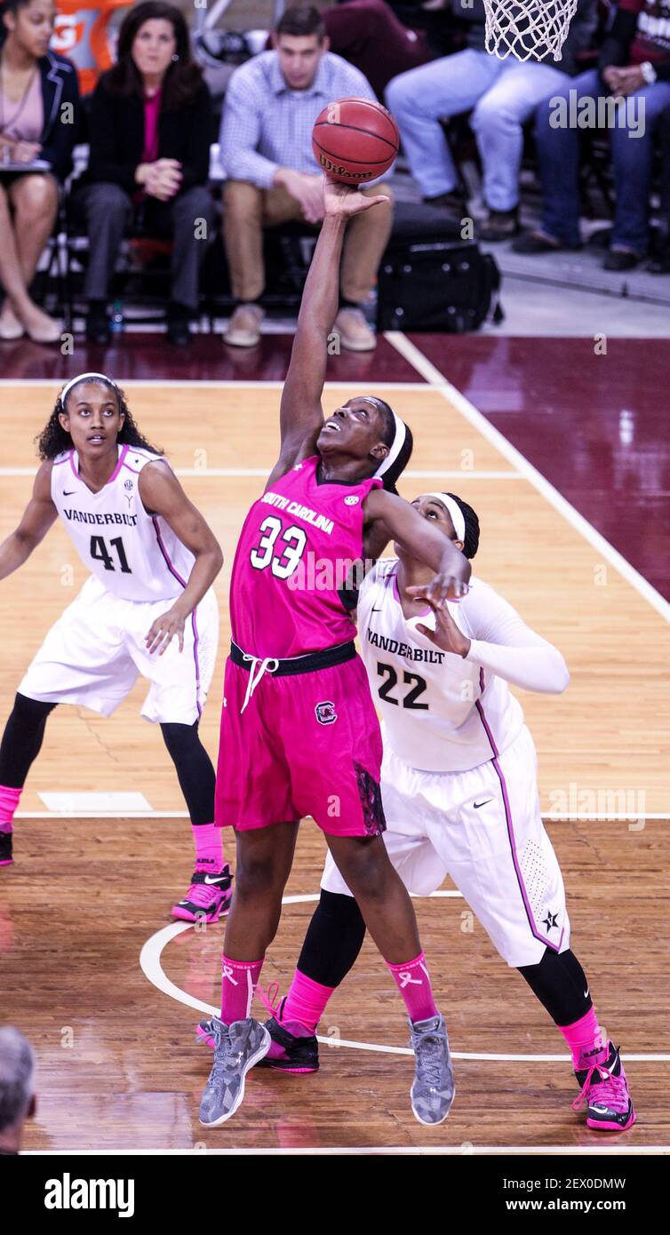 South Carolina center Elem Ibiam (33) snags a pass during the first ...
