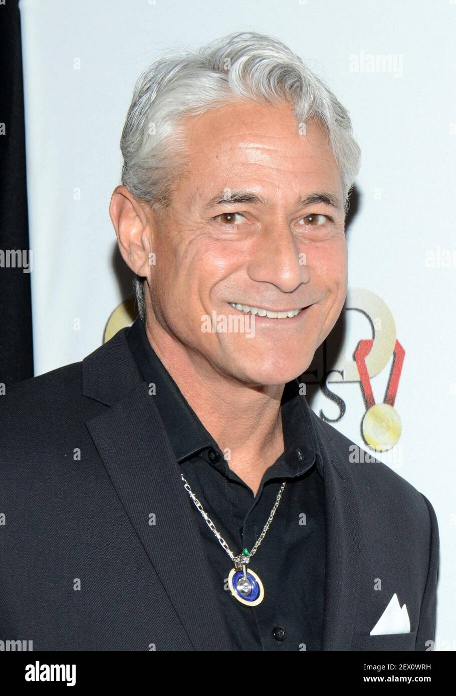 21 February 2015 - West Los Angeles, California - Greg Louganis. "Gold ...