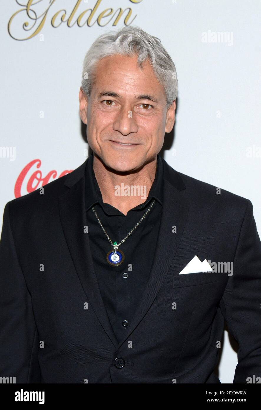 21 February 2015 - West Los Angeles, California - Greg Louganis. "Gold ...