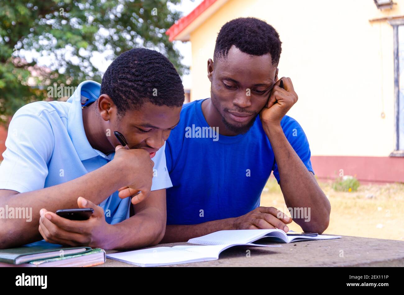 two young handsome african brothers studying their book against ...
