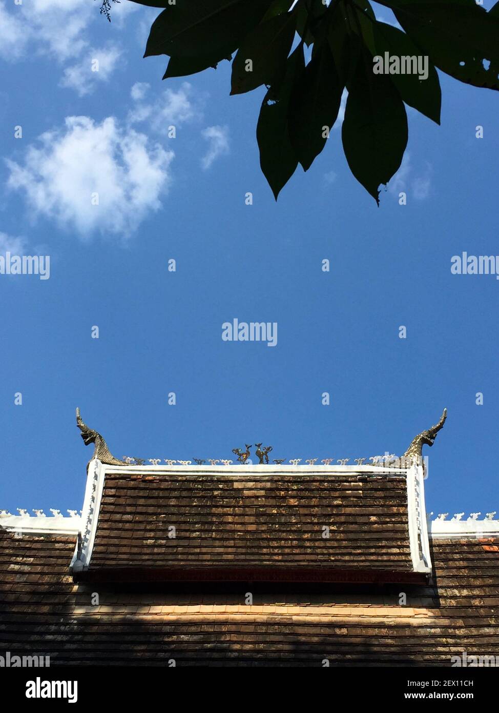 top of the old temple in blue sky, with green leaves Stock Photo - Alamy