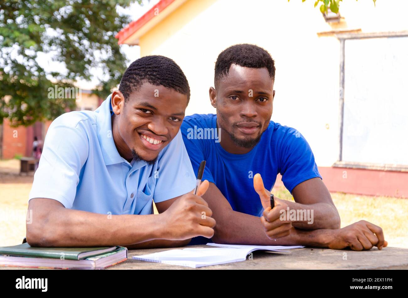 two young handsome african brothers studying their book against ...