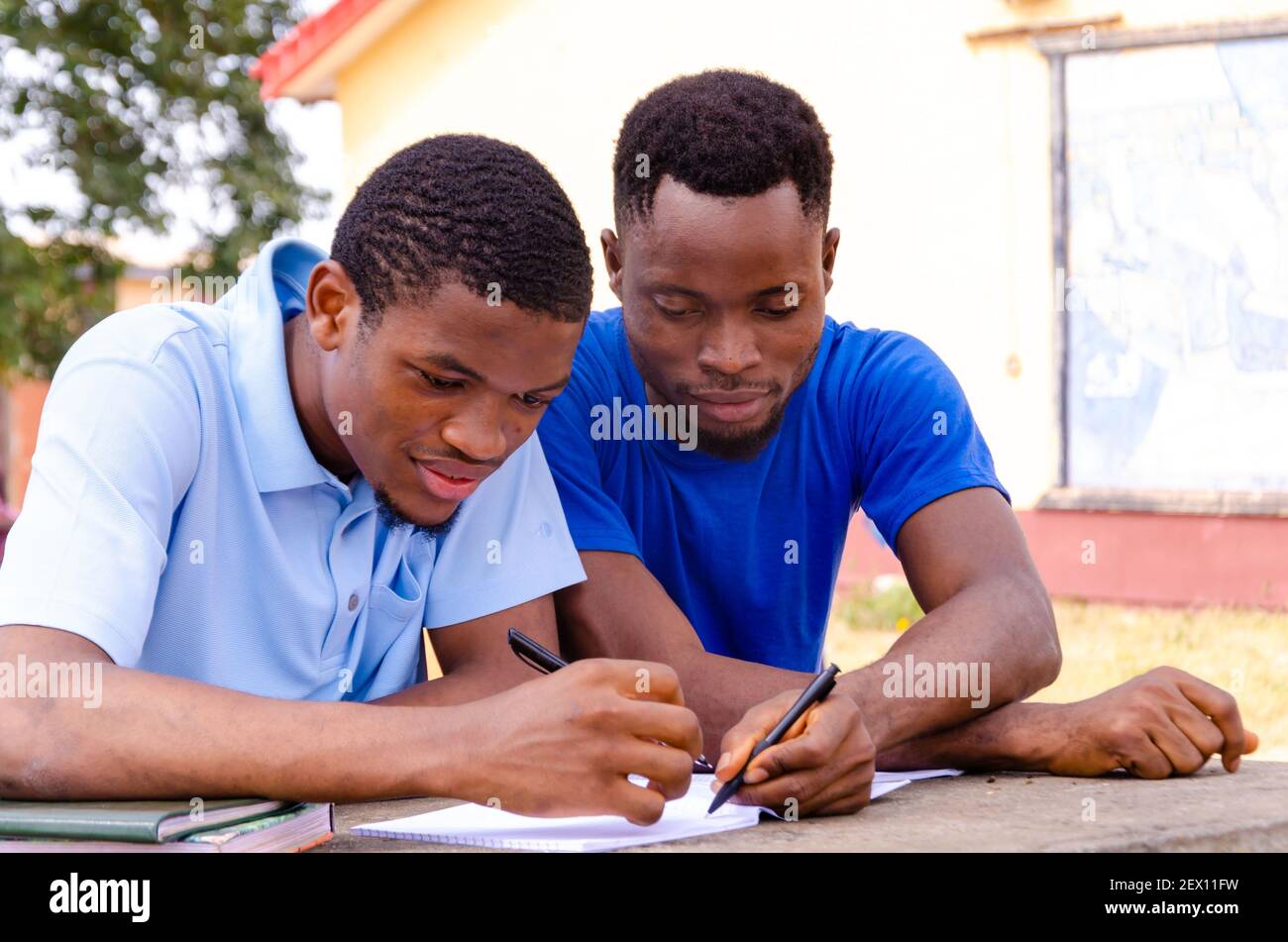 two young handsome african brothers studying their book against ...