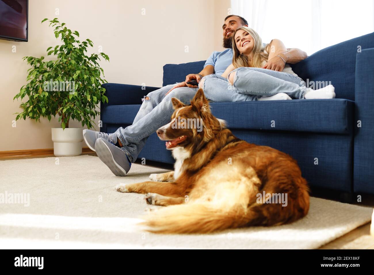 Young loving couple relaxing in living room with their dog pet Stock ...