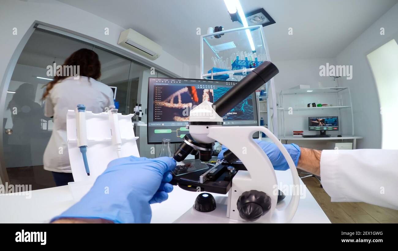 Pov doctor examining petri dish hi-res stock photography and images - Alamy