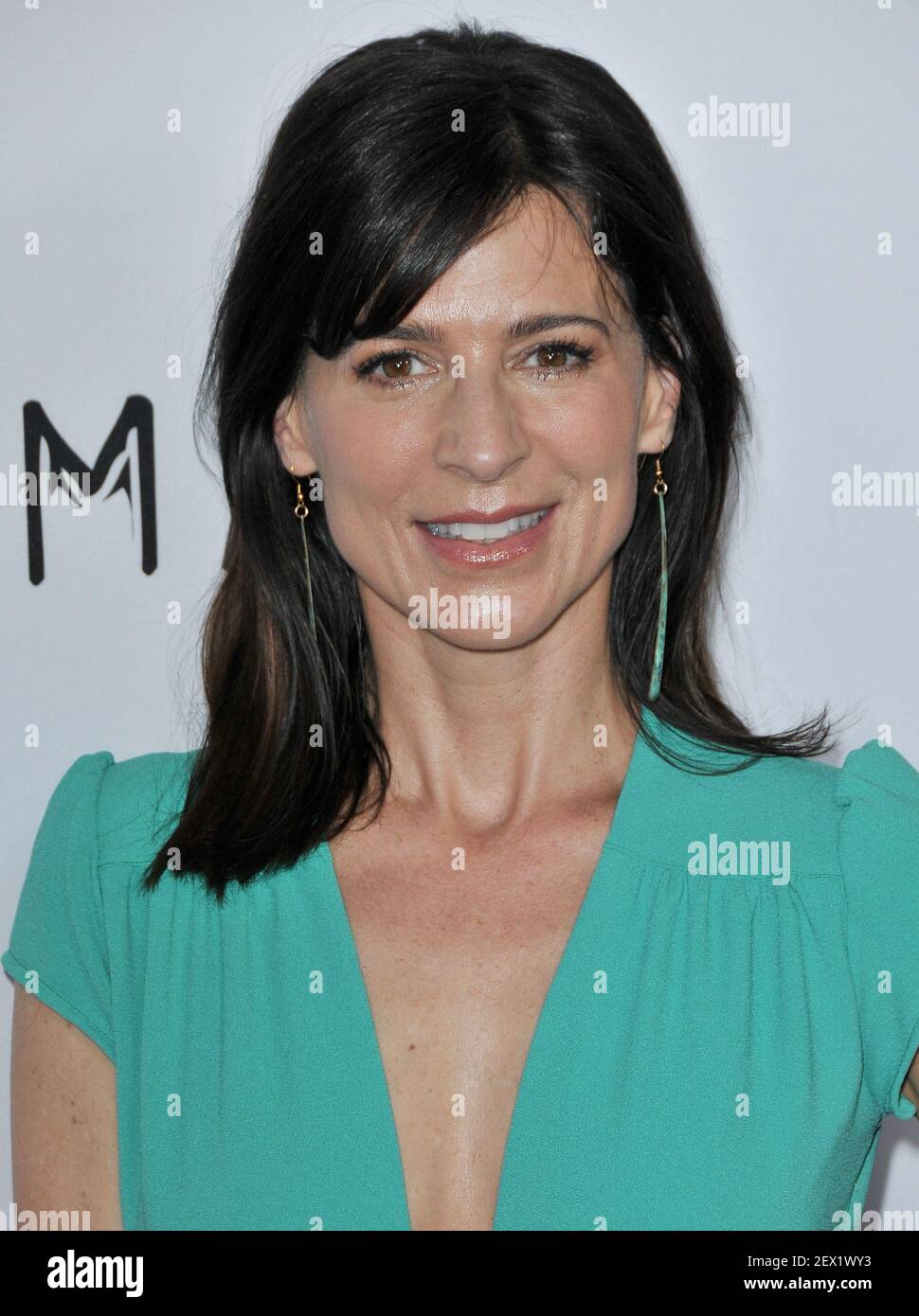 Perrey Reeves arrives at the "The Gunman" Los Angeles Premiere held at ...