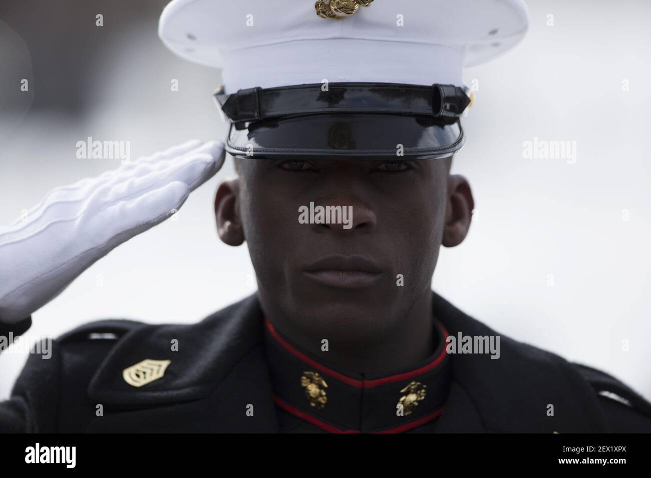 A Marine salutes the American flag during a wreath laying ceremony at ...