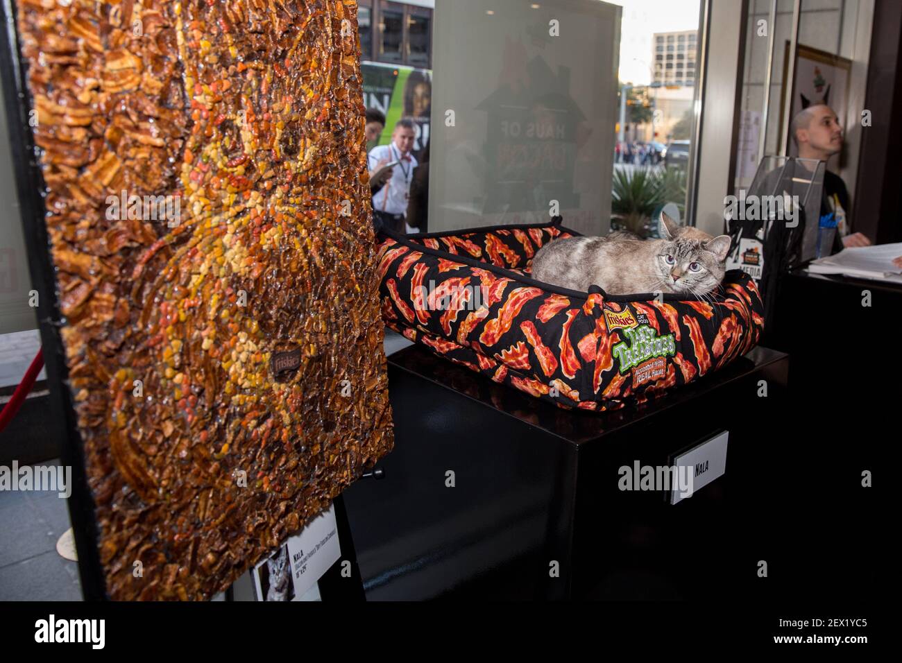 Nala the Cat sits next to a mosaic portrait of herself created by ...