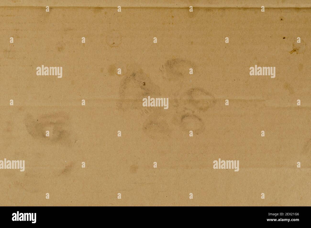 Dog footprint on cardboard. A print of a paw of a large dog on dirty ...