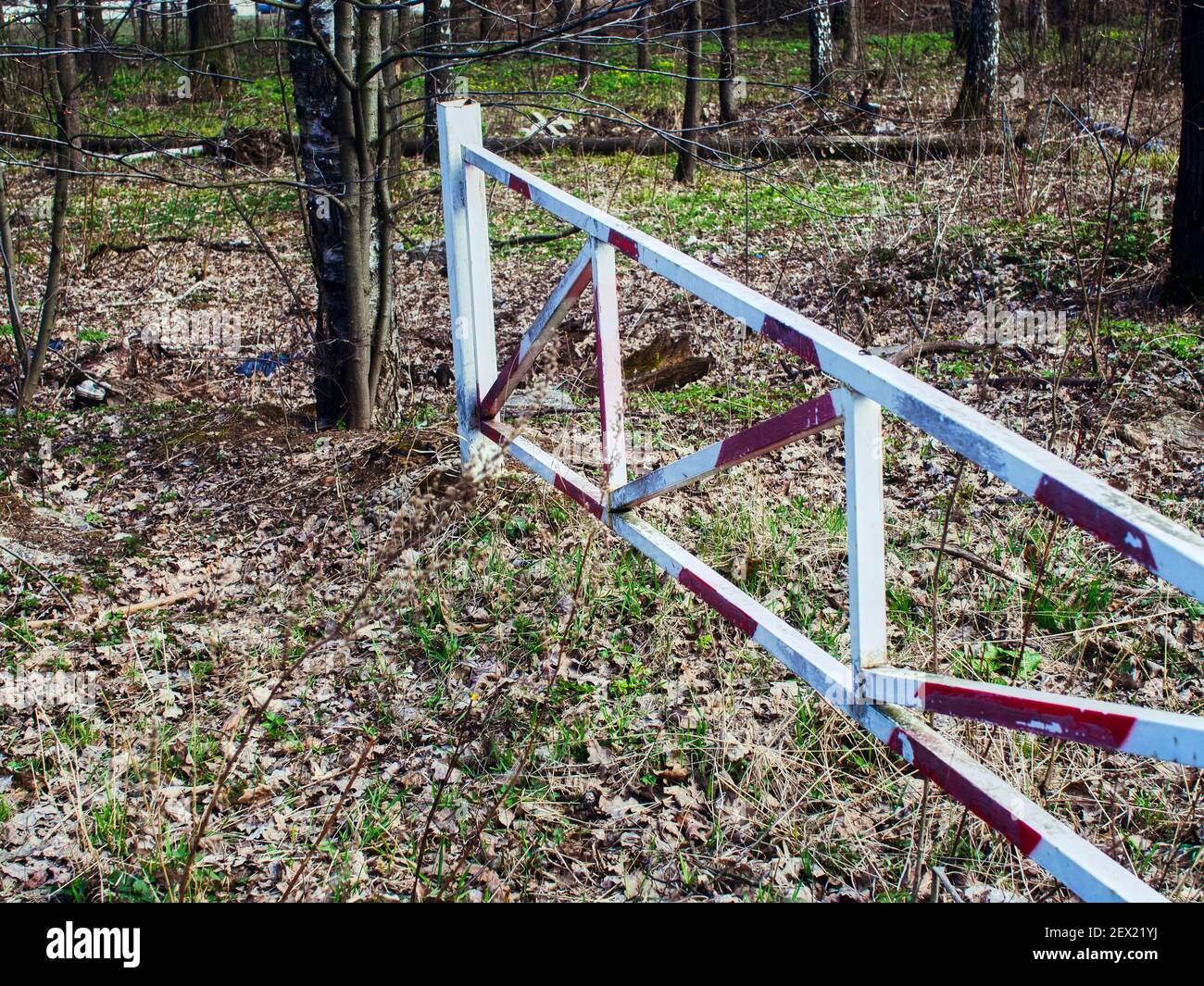 gate at the entrance to the forest in the spring Stock Photo - Alamy