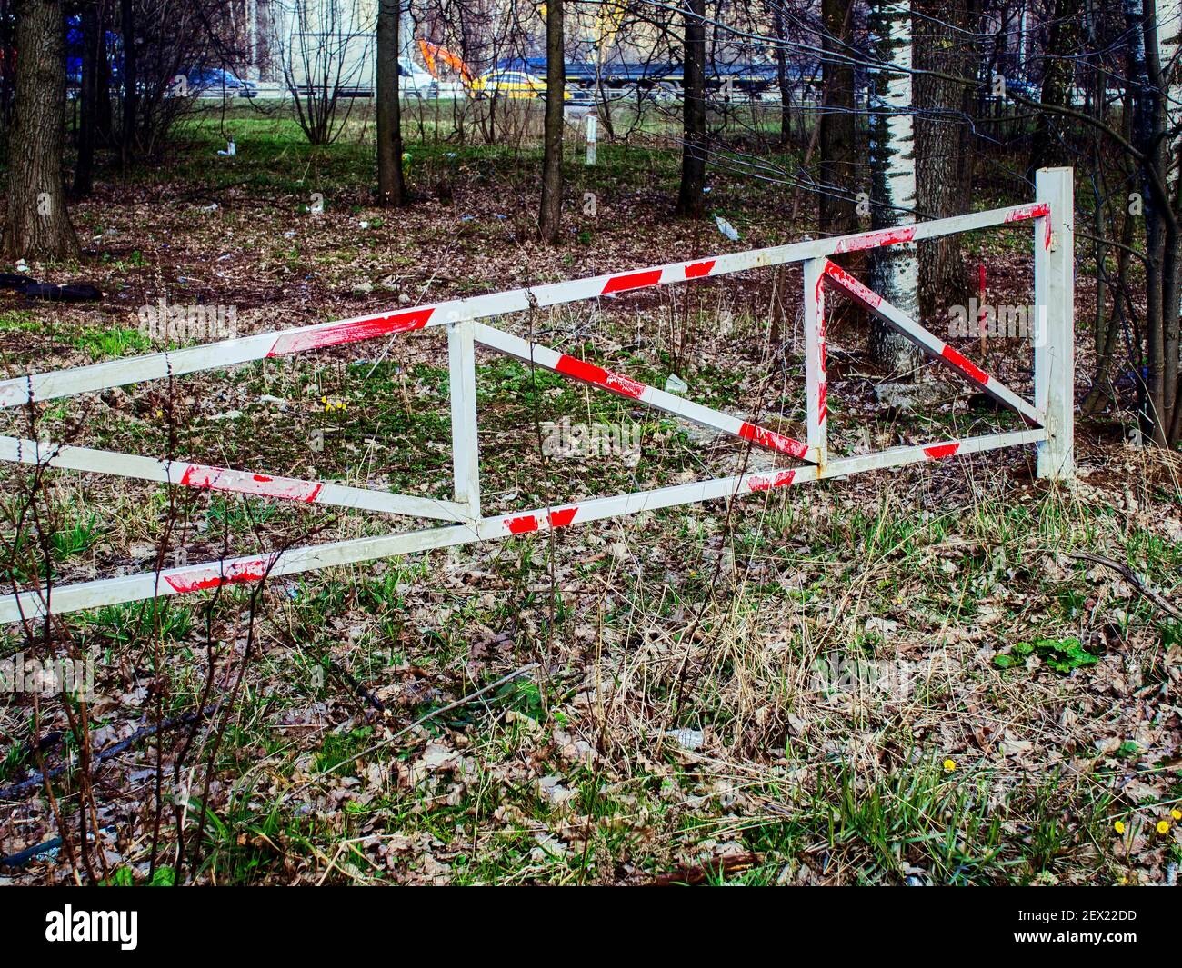 gate at the entrance to the forest in the spring Stock Photo - Alamy
