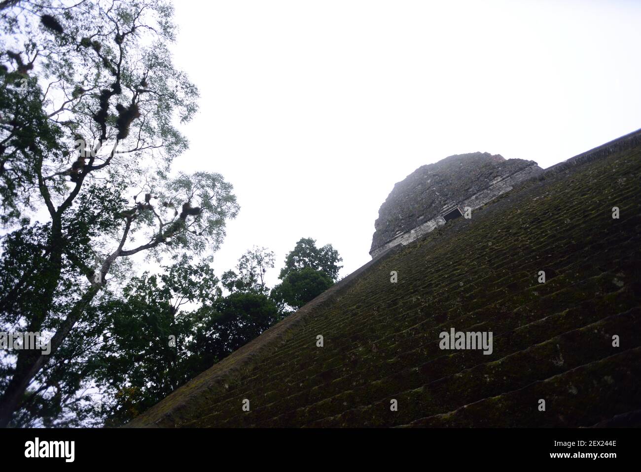 Temple V at Tikal National Park, Guatemala, pictured on February 24 ...