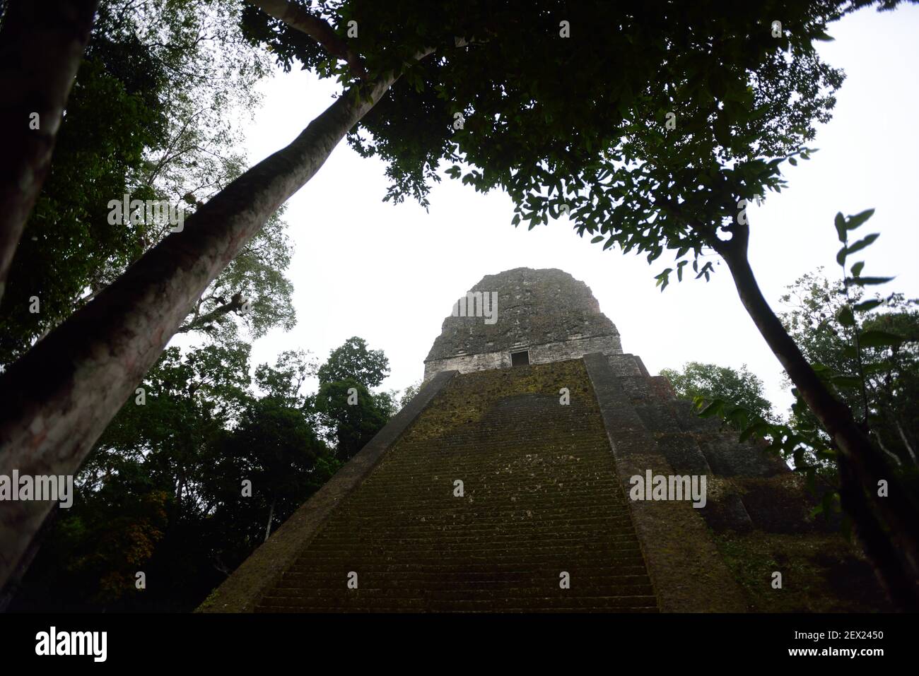 Temple V at Tikal National Park, Guatemala, pictured on February 24 ...