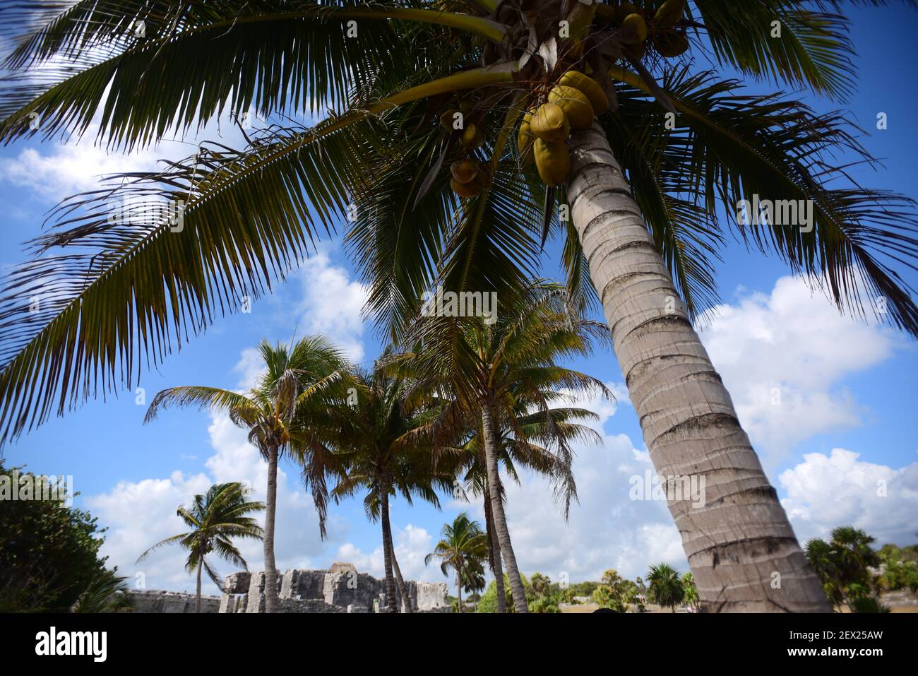 The ancient Maya ruins of Tulum, Mexico, pictured on March 3, 2015. The ...