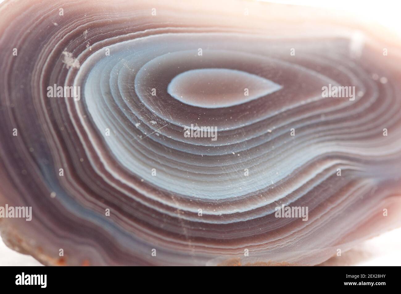 rough round agate mineral sample with outer shell geode Stock Photo - Alamy