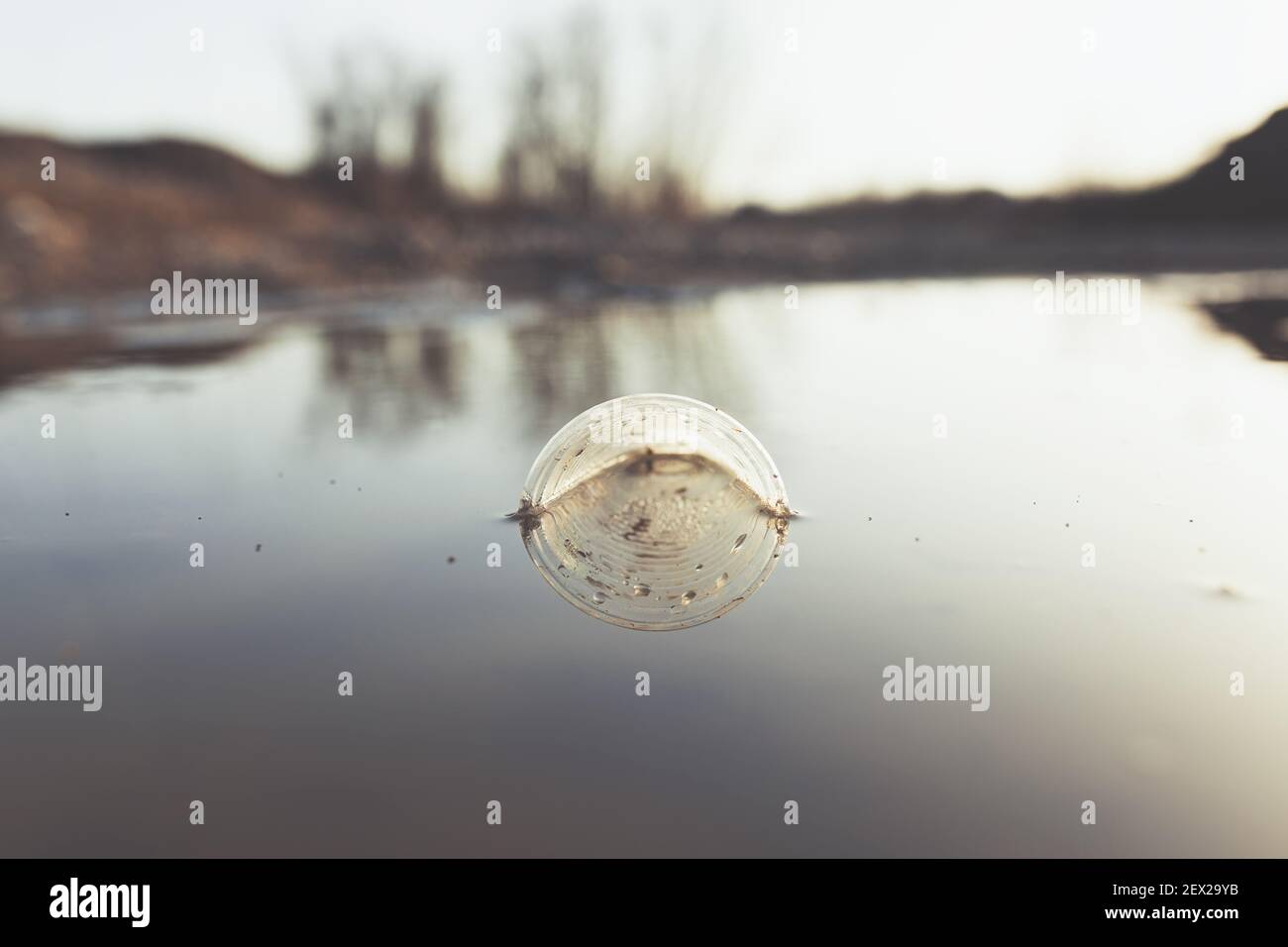 Plastic cup floating in lake water, wild dump landfill concept, barren ...