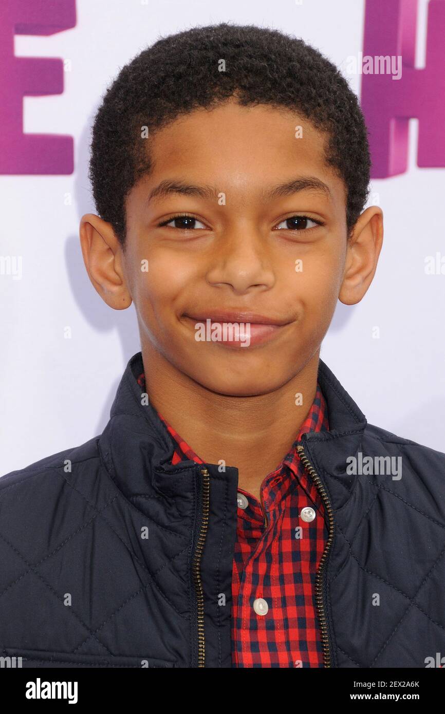 22 March 2015 - Westwood, California - Sayeed Shahidi. "Home" Los ...