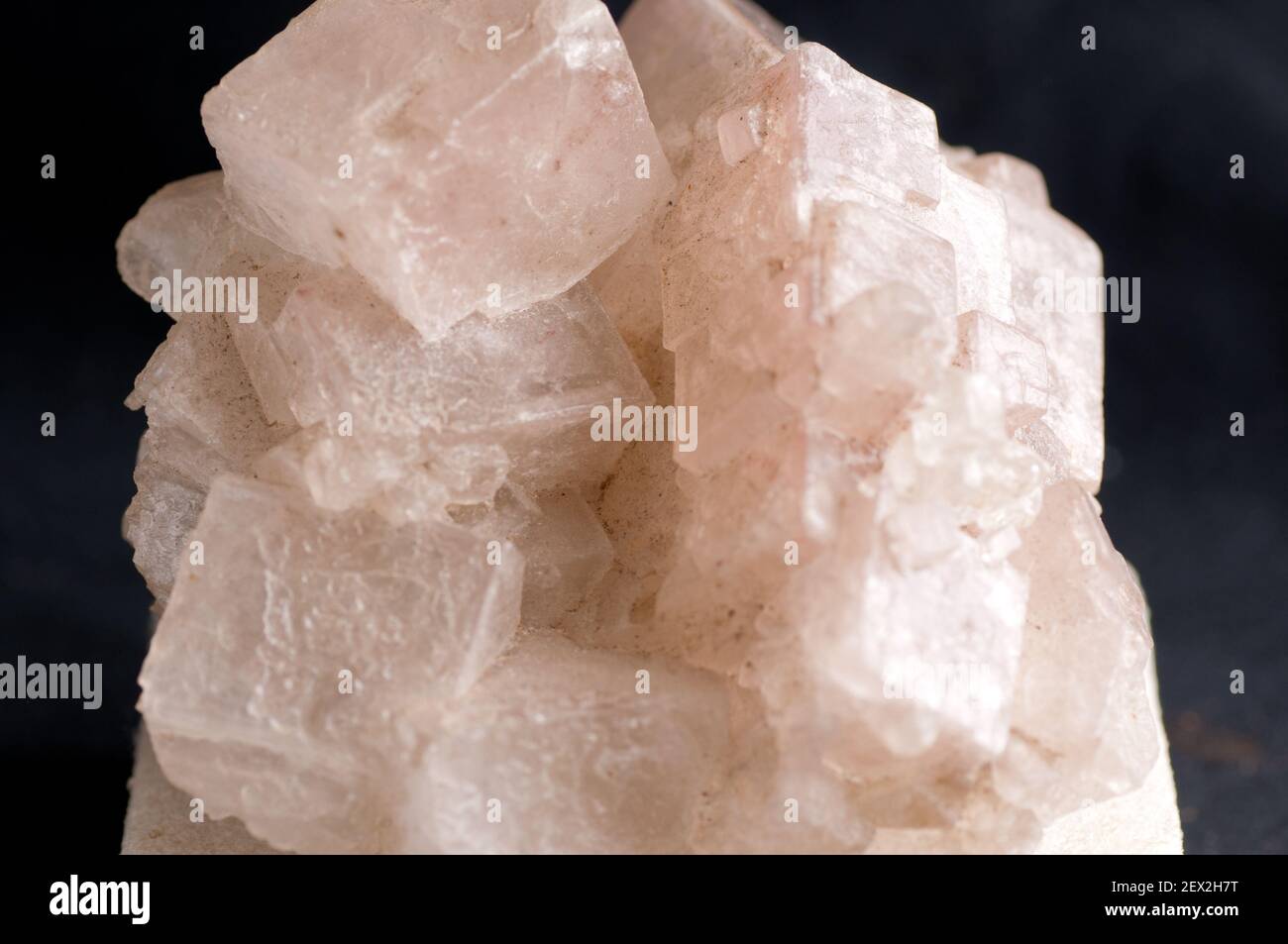 pinkish white halite crystal mineral sample, rock salt Stock Photo - Alamy