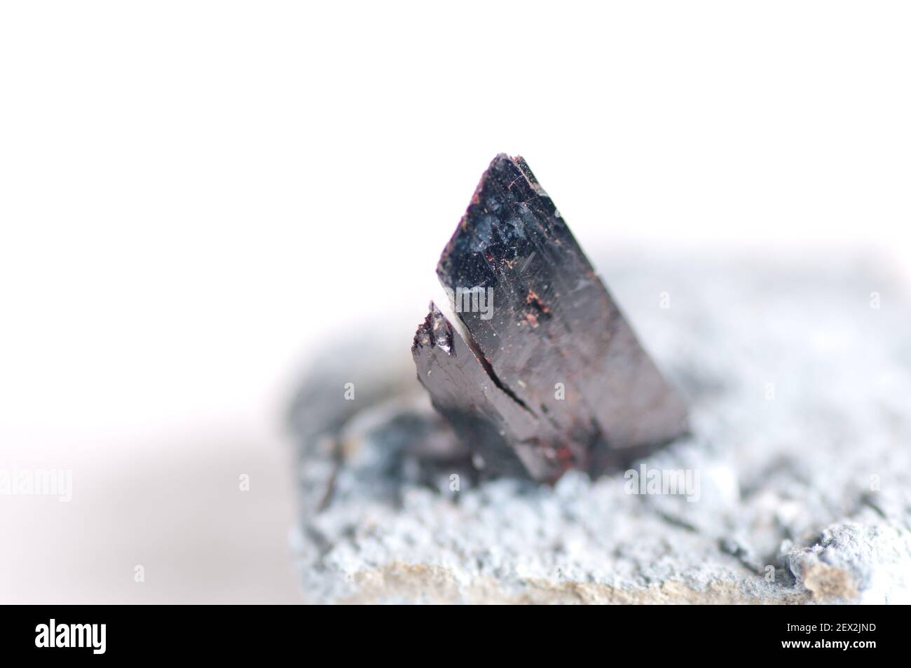 Neptunite hi-res stock photography and images - Alamy
